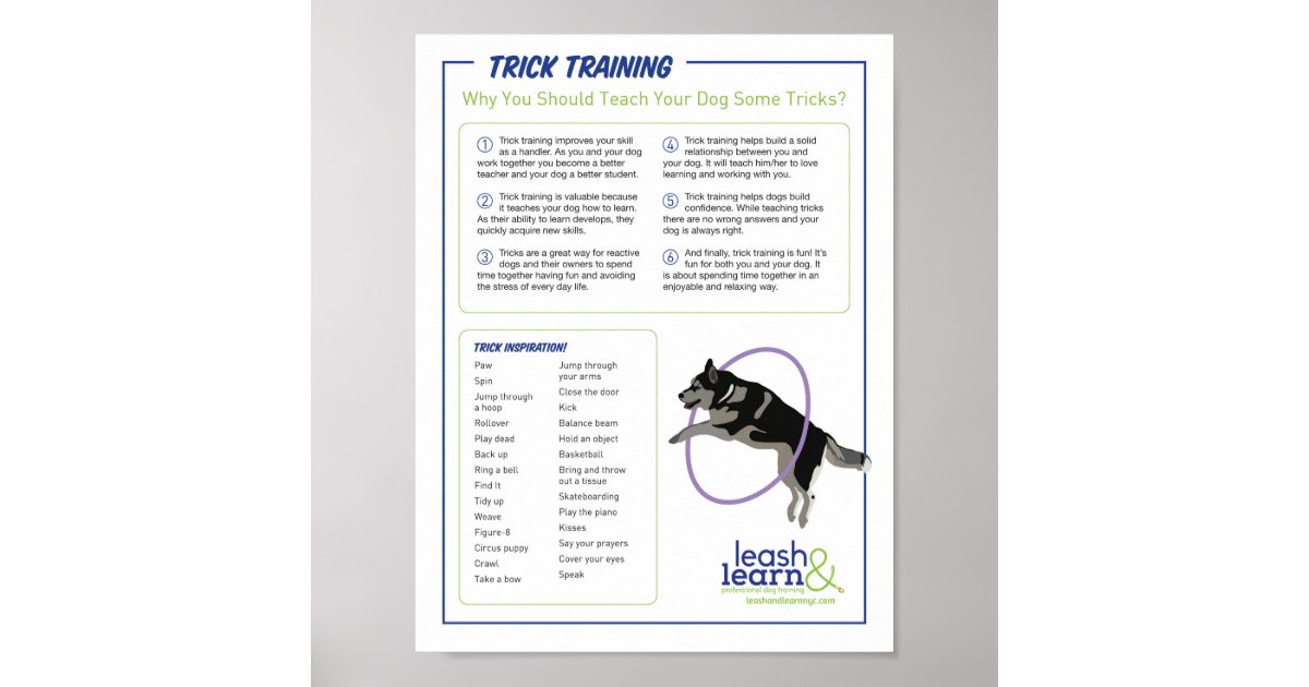 Dog Trick Training Poster | Zazzle