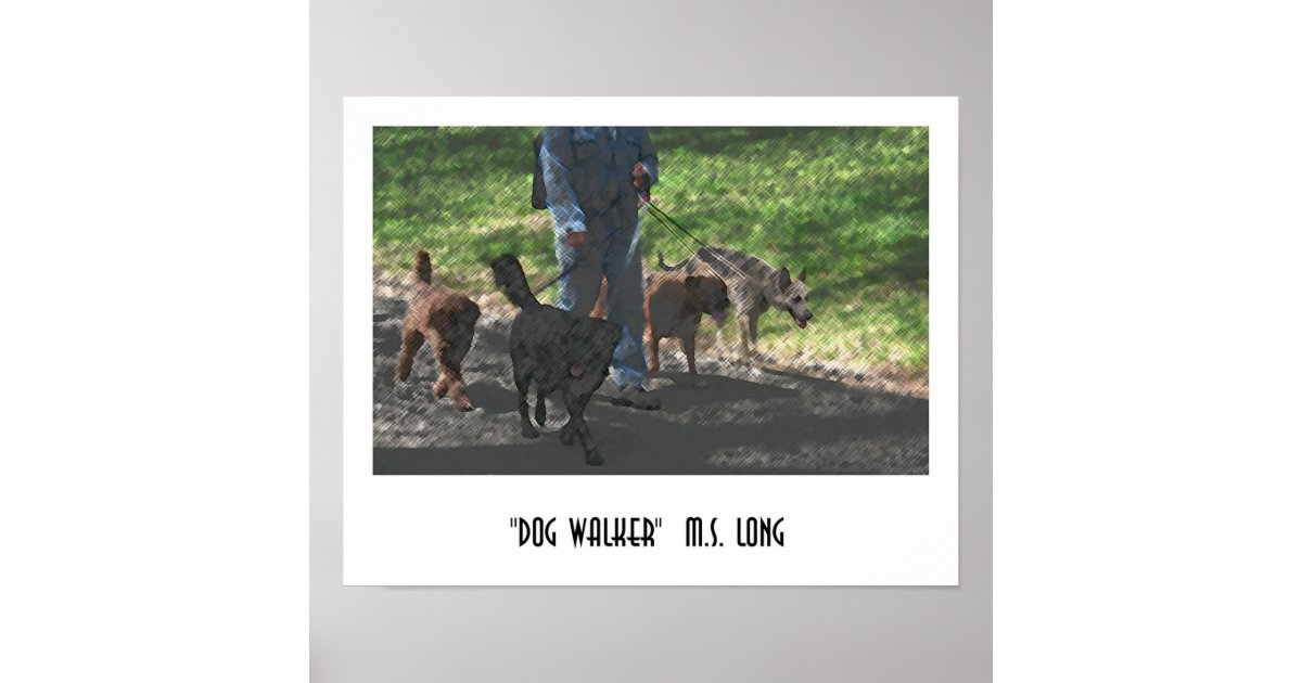 Dog Walker Poster | Zazzle