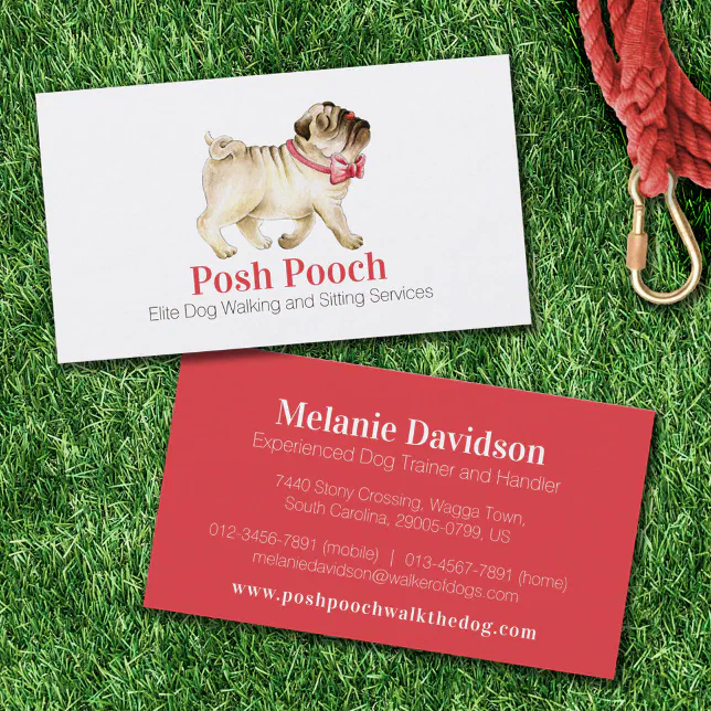 Dog walking and sitting service posh pug red business card | Zazzle