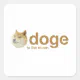 doge, coin, doge coin, dogecoin square sticker | Zazzle