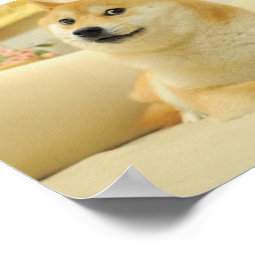 Doge poster | Zazzle