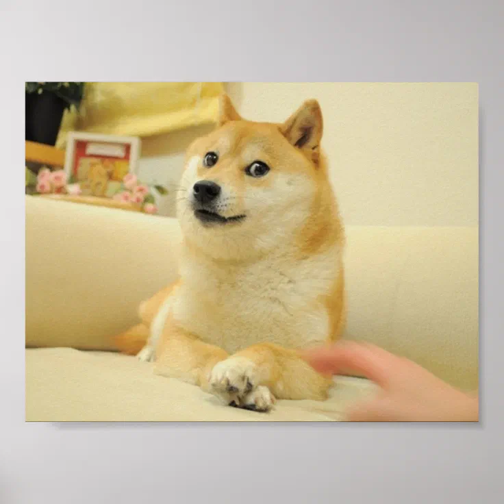 Doge poster | Zazzle
