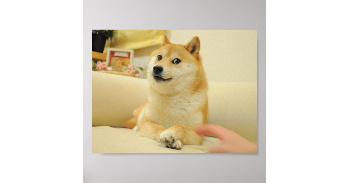 Doge poster | Zazzle