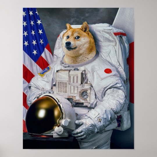 Doge print version | Zazzle.com