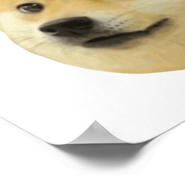 Shibe Doge Wow