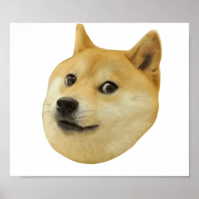 Doge Very Wow Much Dog Such Shiba Shibe Inu Poster | Zazzle