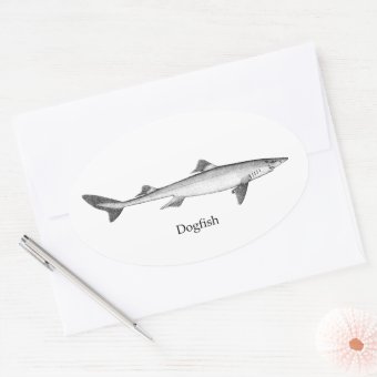 Dogfish (line art) oval sticker | Zazzle