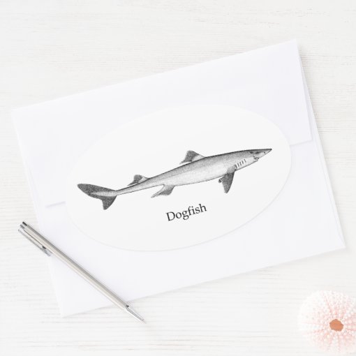 Dogfish (line art) oval sticker | Zazzle