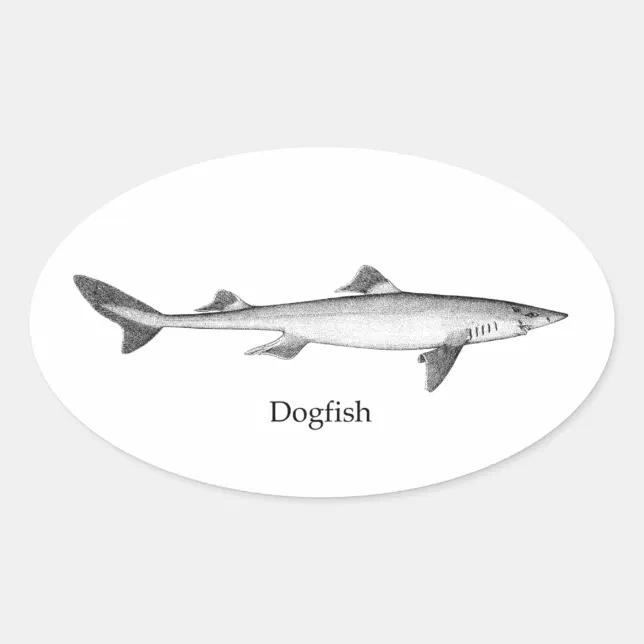 Dogfish (line art) oval sticker | Zazzle