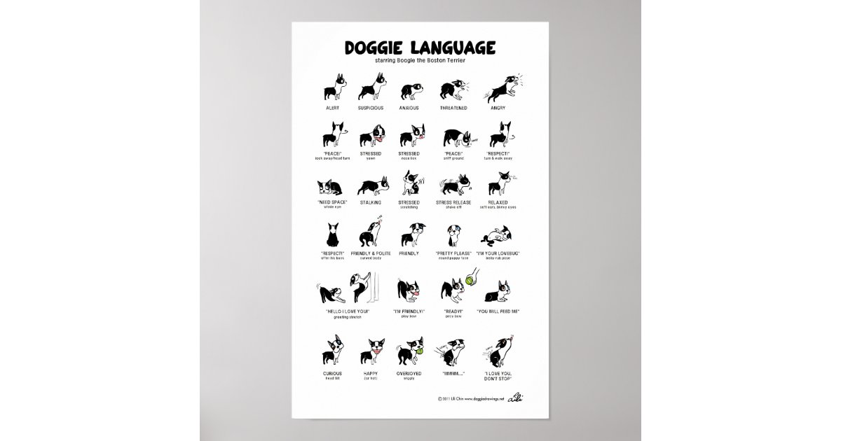 DOGGIE LANGUAGE Large Poster | Zazzle