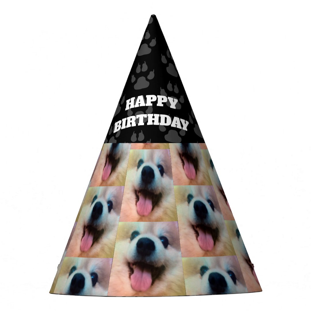 Dog's Custom Photo Birthday Party Hat | Zazzle