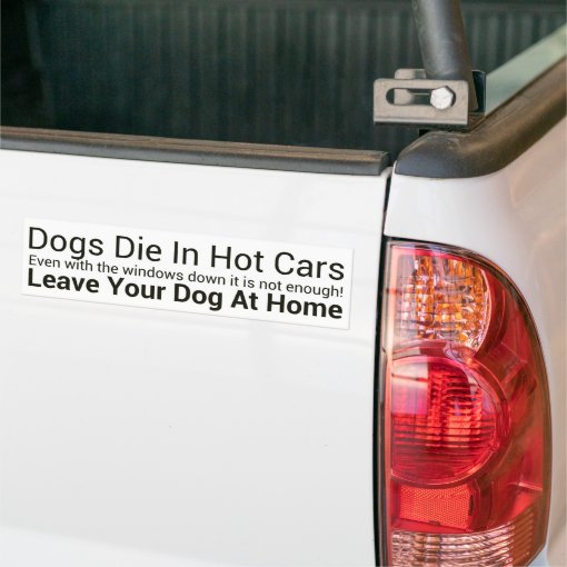 Dogs Die In Hot Cars Bumper Sticker | Zazzle