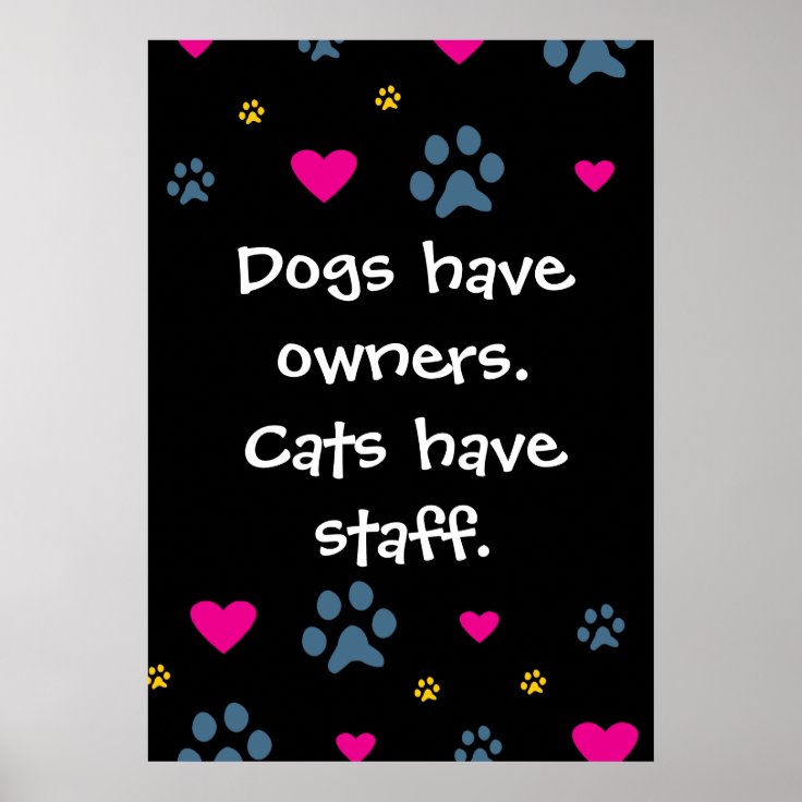 Dogs Have Owners-Cats Have Staff Poster | Zazzle