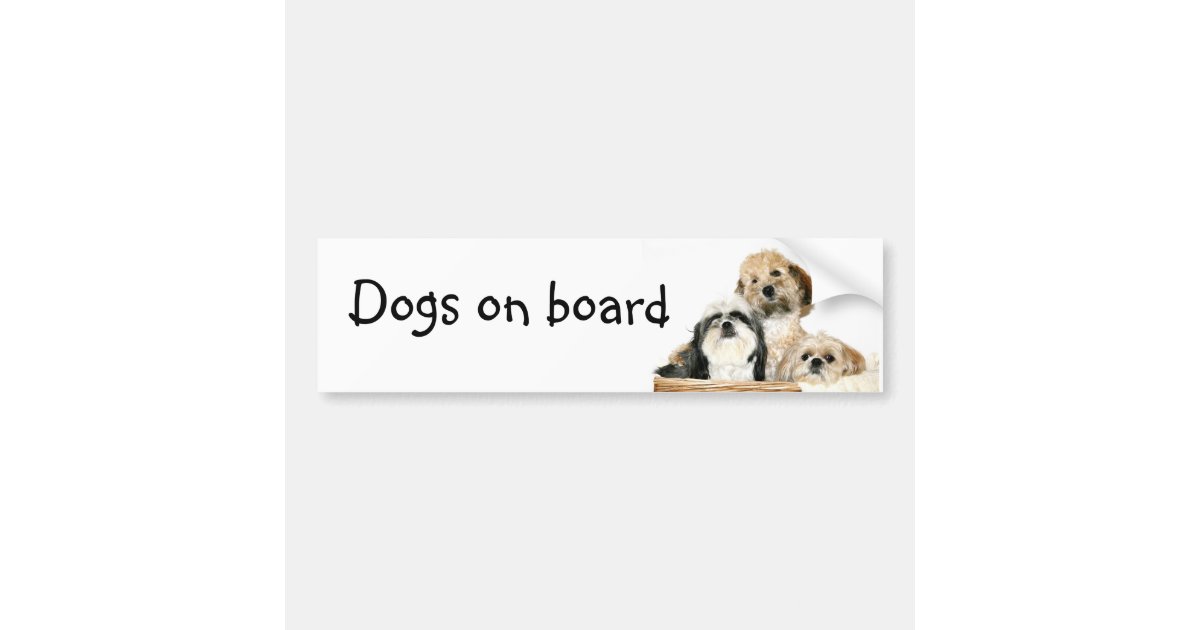Dogs on board bumper sticker | Zazzle