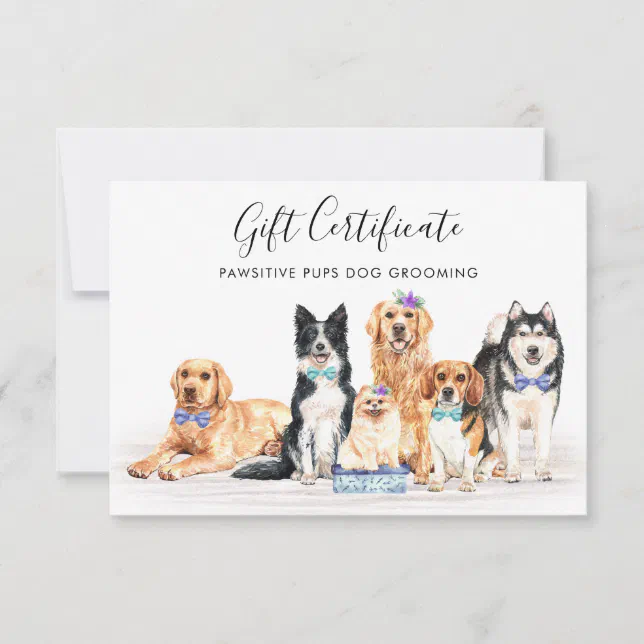 Dogs Pet Care Dog Trainer Groomer Gift Certificate | Zazzle
