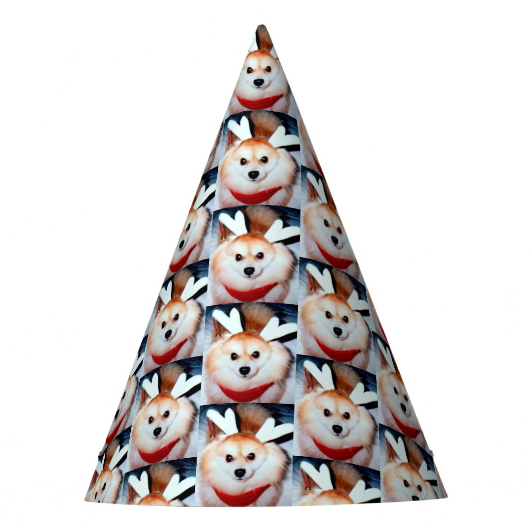 Dogs Photo Birthday Custom Party Hat | Zazzle
