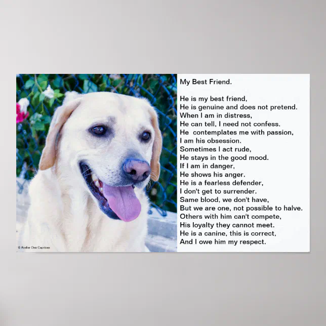 Dog's Poem Poster | Zazzle