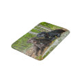 Dogs Puppies Black Lab Chocolate Labrador Retrieve Bath Mat | Zazzle
