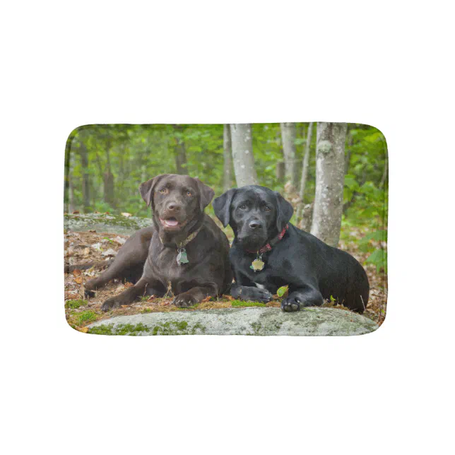 Dogs Puppies Black Lab Chocolate Labrador Retrieve Bath Mat | Zazzle