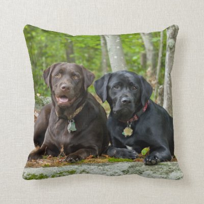 Pet throw pillow designs – fabulous throw pillow designs