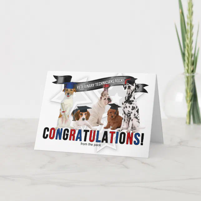 DOGS Vet Tech RVT Graduate Congratulations Card | Zazzle