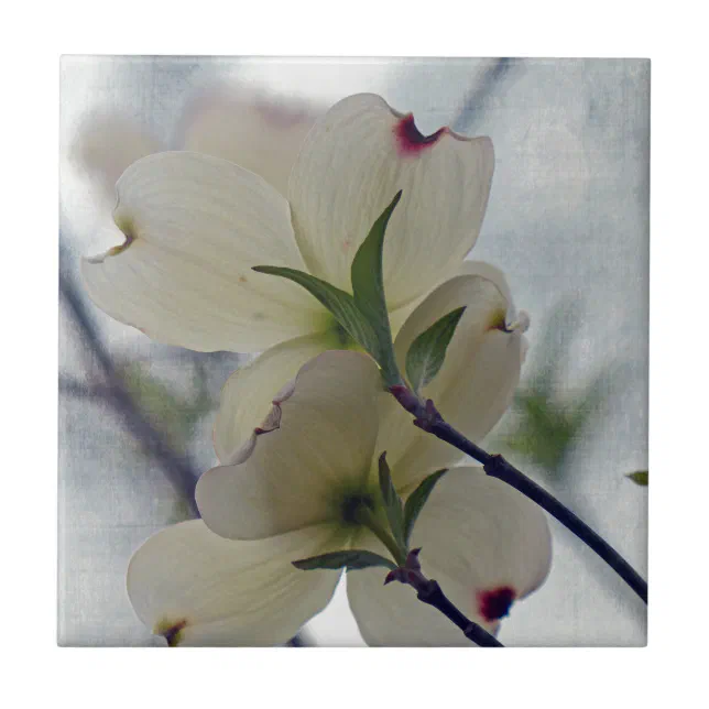 Dogwood Blossoms Tile | Zazzle