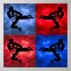 Dojo Poster | Zazzle