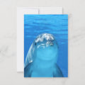 Dolphin Blue Ocean Flat Thank You Card | Zazzle