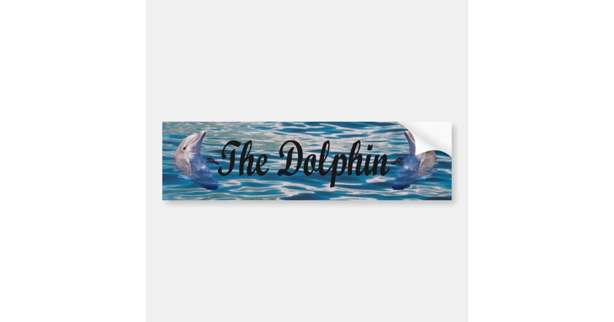 Dolphin Bumper Sticker | Zazzle