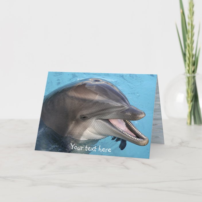 dolphin, card | Zazzle