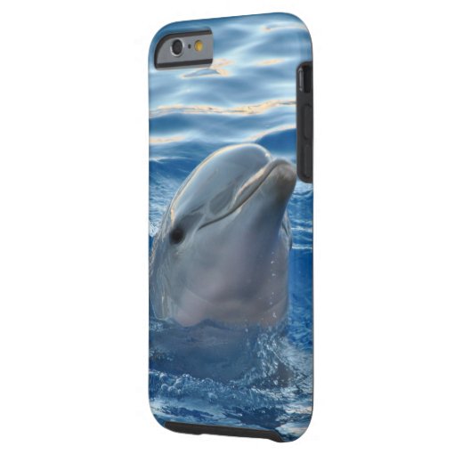 Dolphin Case-Mate iPhone Case | Zazzle