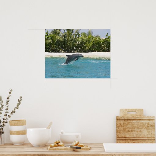 Dolphin Jumping Tropical Beach Poster | Zazzle