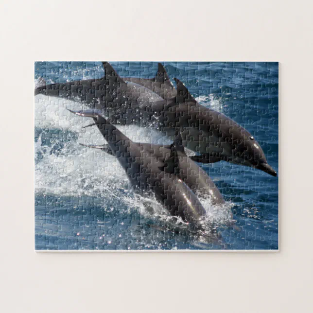Dolphin Puzzle | Zazzle