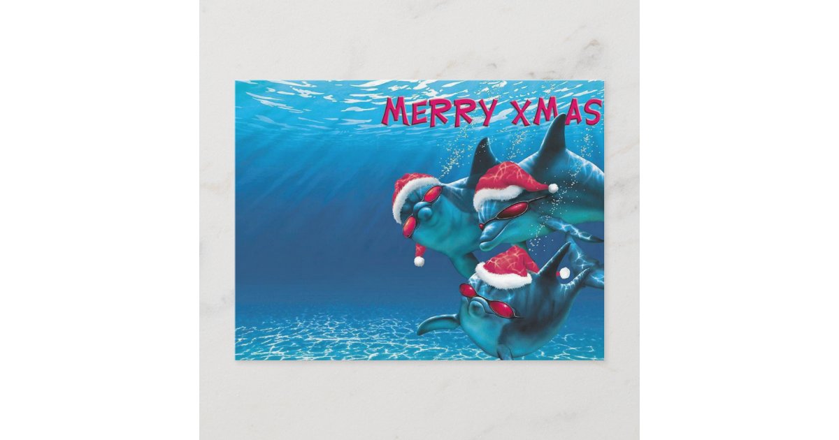 Dolphin Santa Hat Funny Christmas Postcard | Zazzle