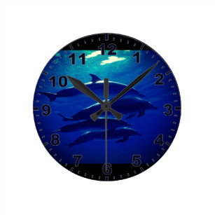 Dolphin Wall Clocks | Zazzle