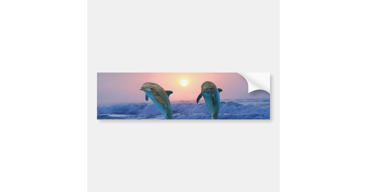 Dolphins at sunrise bumper sticker | Zazzle