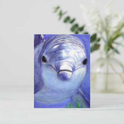 Dolphins Drawing Blue Dolphin Underwater Picture Postcard | Zazzle