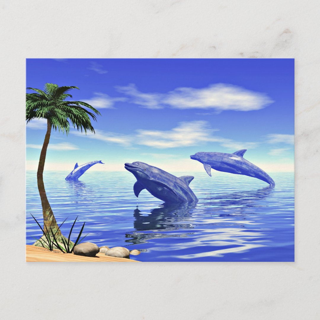 Dolphins Postcard | Zazzle