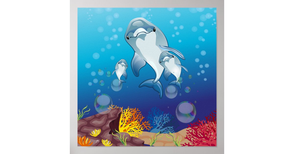 Dolphins Poster | Zazzle