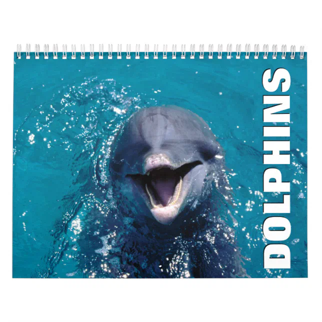 Dolphins Wall Calendar | Zazzle