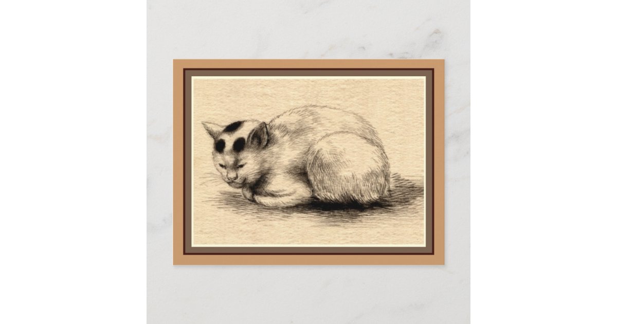 Domestic Cat Japanese Ink Drawing Postcard | Zazzle