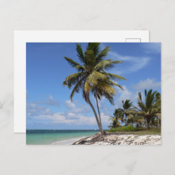 Dominican Republic beach Postcard | Zazzle