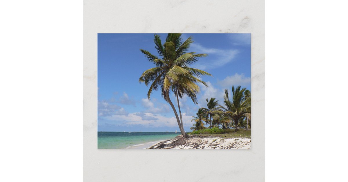 Dominican Republic beach Postcard | Zazzle