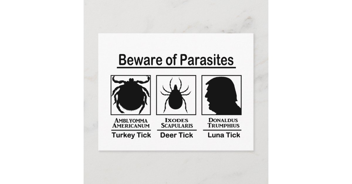 Donald Trump Beware of Parasites Postcard | Zazzle