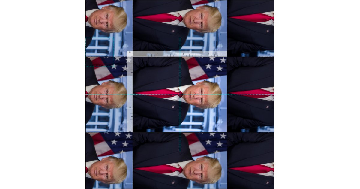 Donald Trump Official Presidential Portrait Fabric | Zazzle