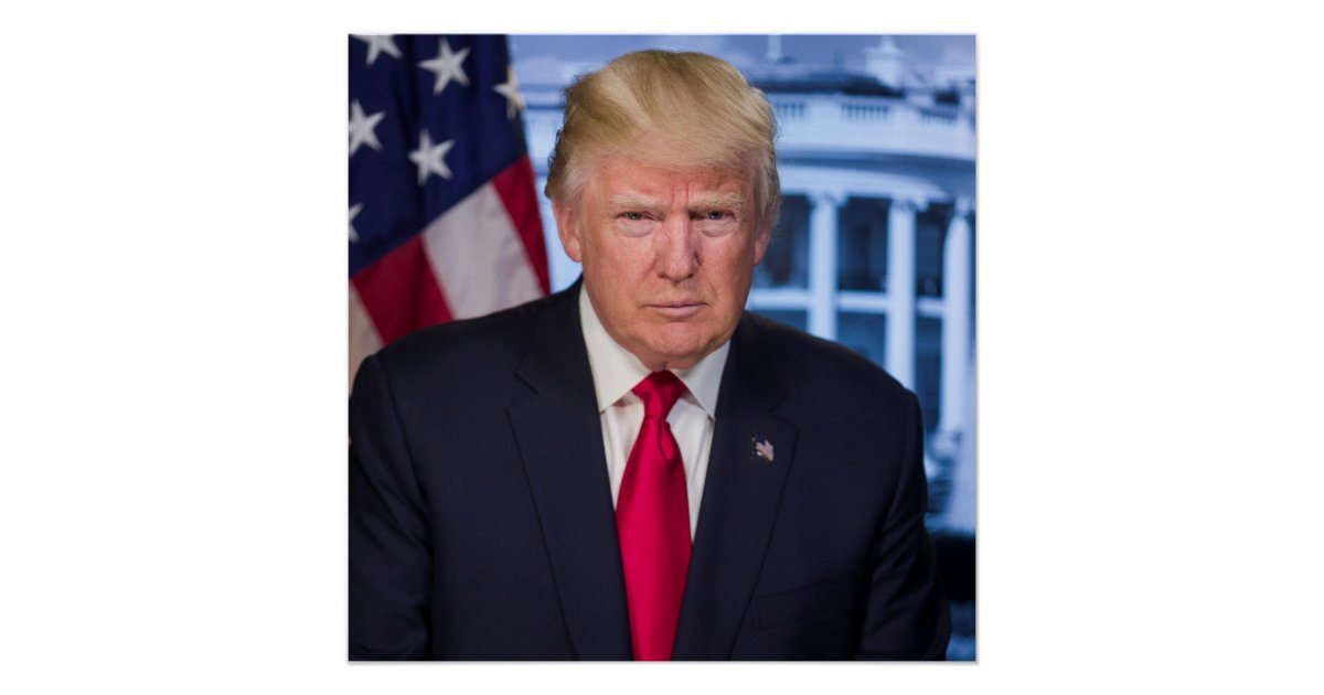 Donald Trump Official Presidential Portrait Poster | Zazzle