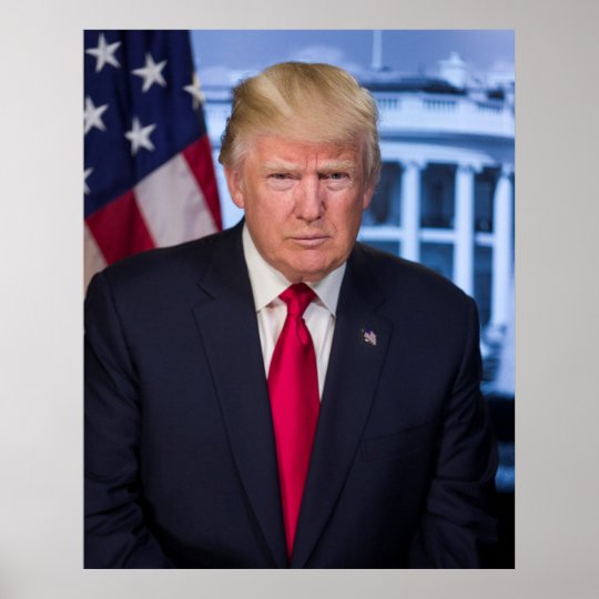 Donald Trump Official Presidential Portrait Poster | Zazzle.com