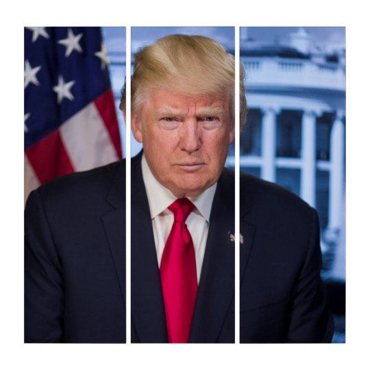 Donald Trump Official Presidential Portrait Triptych | Zazzle.com