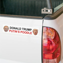 Donald Trump Putin's Poodle bumper sticker | Zazzle