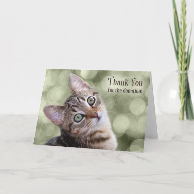 Donation Thank You Tabby Kitten Card | Zazzle